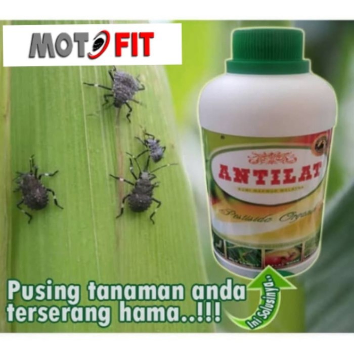 Jual PESTS CONTROL ANTI HAMA Lalat Semut Belalang Kutu Daun Ulat cacing ...
