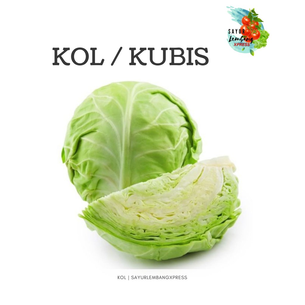 Jual Kol Putih Sayur / KUBIS 1Kg | Shopee Indonesia