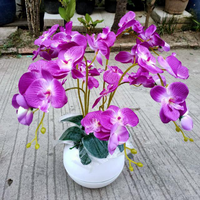 Jual BUNGA ANGGREK LATEX JUMBO POT BOLA Tanaman Artificial Palsu ...