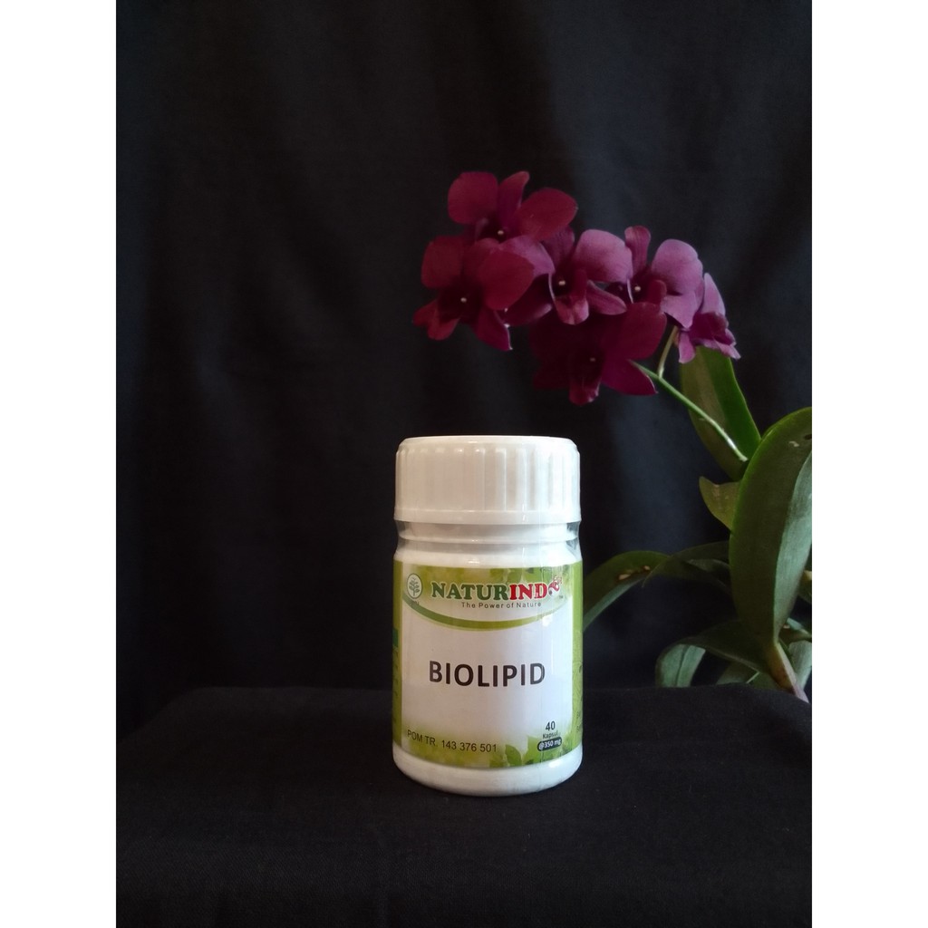 Jual BIOLIPID Naturindo (Spesial Kolesterol) | Shopee Indonesia