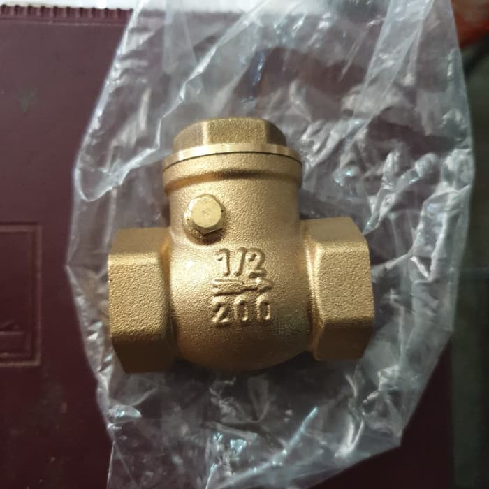 Jual Check Valve Kuningan 1/2" | Shopee Indonesia