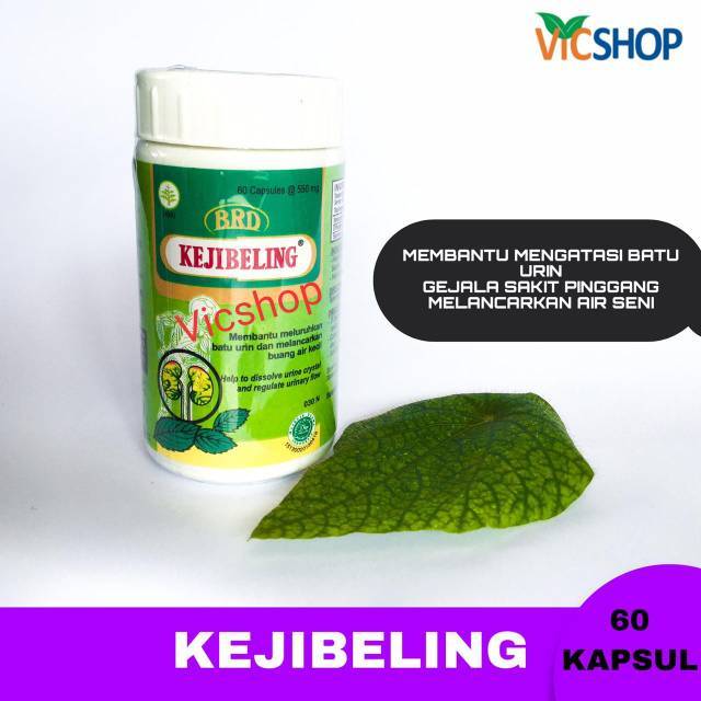 Jual KEJIBELING 60 kapsul-obat batu ginjal | Shopee Indonesia