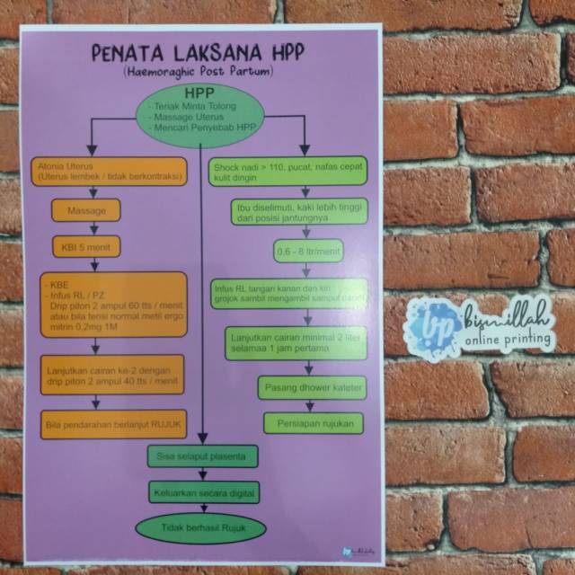 Jual Poster penata laksana HPP (Haemoraghic Post Partum) | Shopee Indonesia