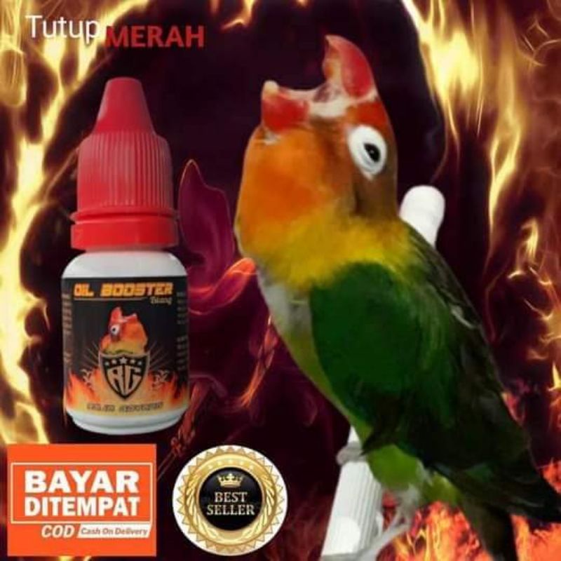 Jual RG OIL BOOSTER Vitamin Lovebird Jantan Betina Gacor Fighter ...