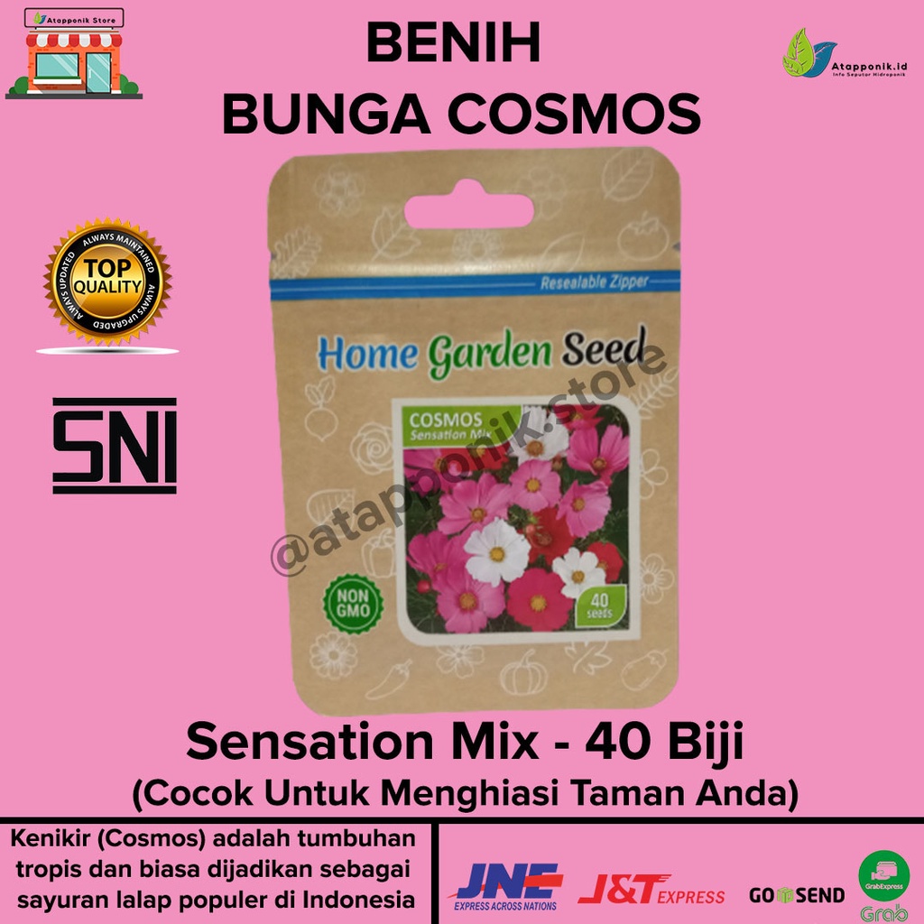 Jual benih bunga cosmos pink sensation mix 40 biji | Shopee Indonesia