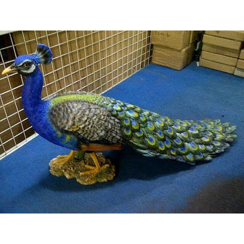 Jual Patung Pajangan Merak Besar | Shopee Indonesia