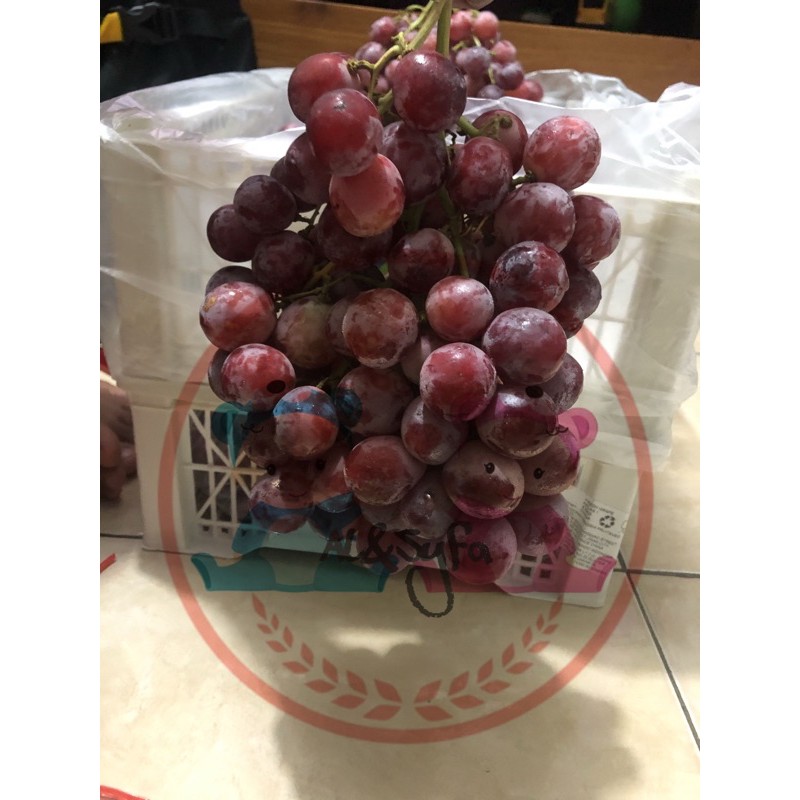 Jual Anggur import grade A MURAH !!! | Shopee Indonesia