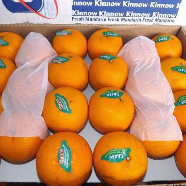 Jual JERUK mandarin kino/1kg | Shopee Indonesia