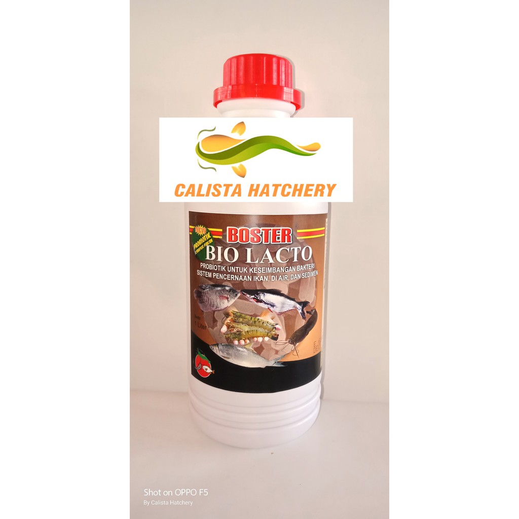 Jual BIO LACTO | Shopee Indonesia