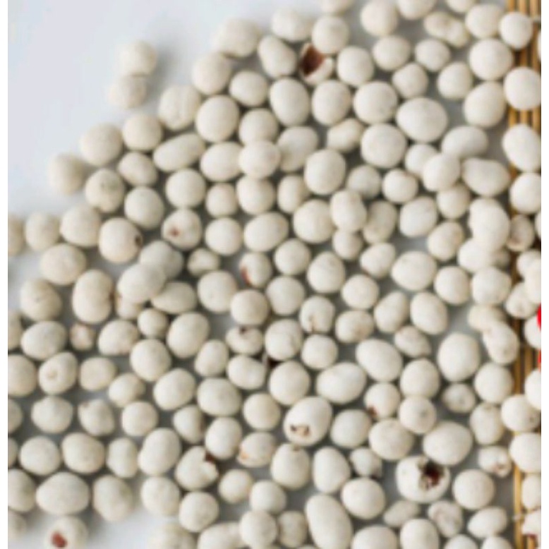 Jual kacang Sukro 250 gram | Shopee Indonesia