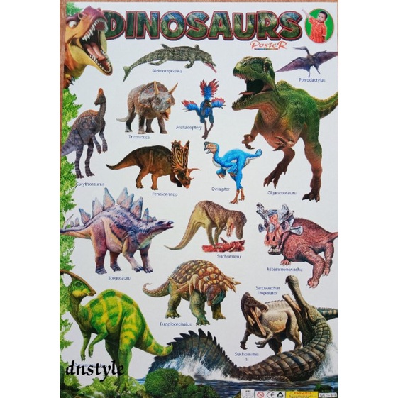 Jual Poster edukasi dinosaurus | Shopee Indonesia