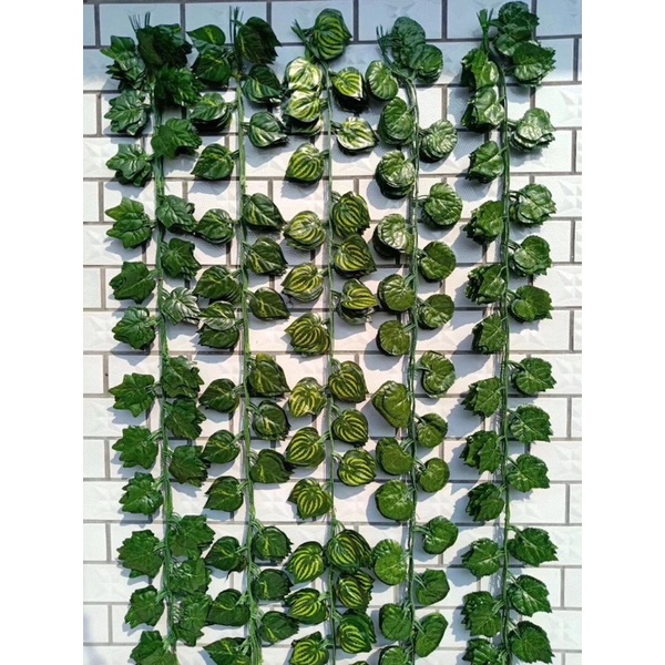 Jual Daun Garlan Besar 2meter (1lusin) | Shopee Indonesia