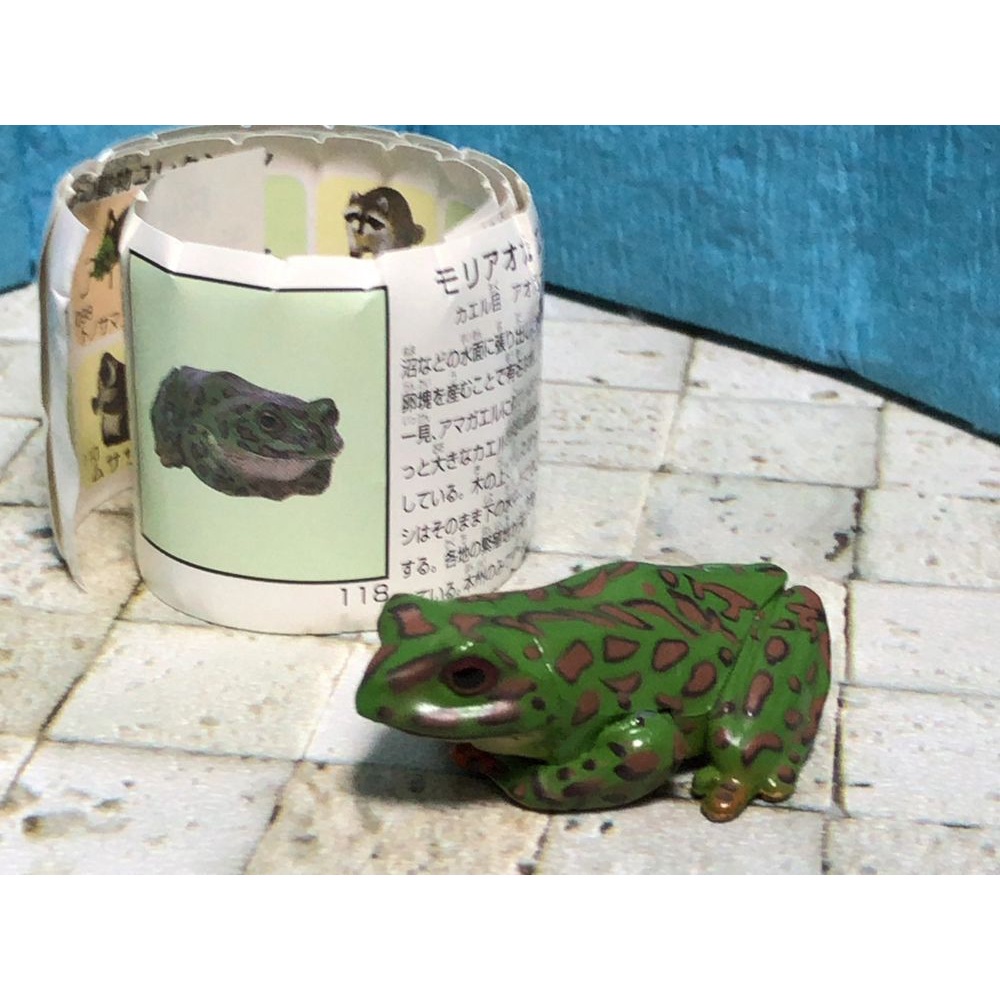 Jual choco egg kaiyodo furuta green frog | Shopee Indonesia