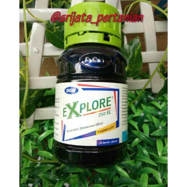 Jual FUNGISIDA + ZPT EXPLORE 250 EC 250 ml | Shopee Indonesia