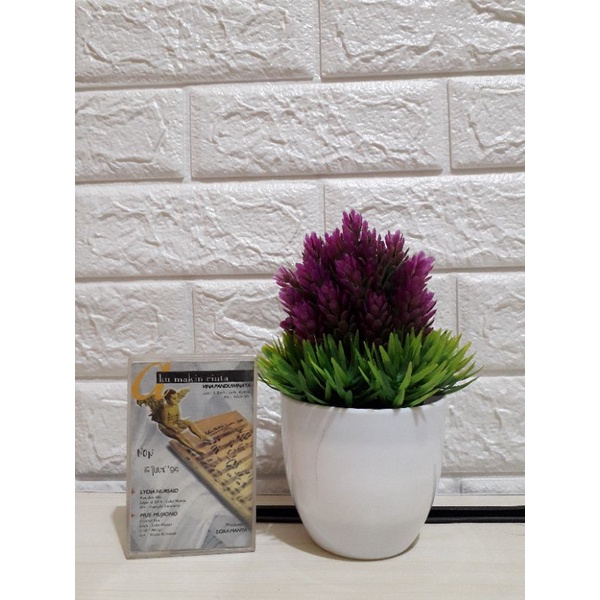 Jual Kaset Vina Panduwinata Album Ku Makin Cinta | Shopee Indonesia