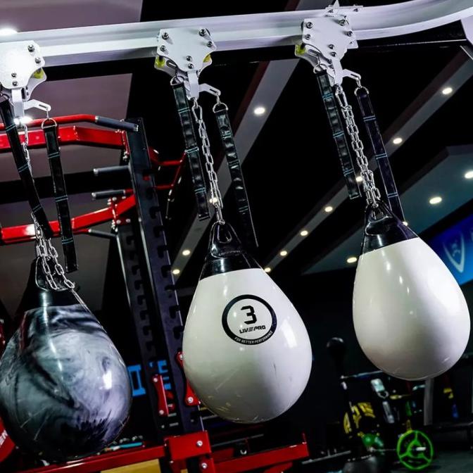 Jual LIVEPRO Water Heavy Bag/ Boxing Punch Ball/ Samsak isi Air ...