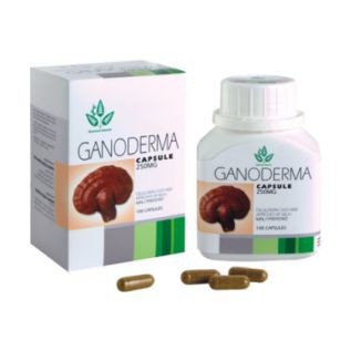 Jual Gano Plus - Ganoderma - Jamur Lingzhi 100 / 60 Tablet | Shopee ...