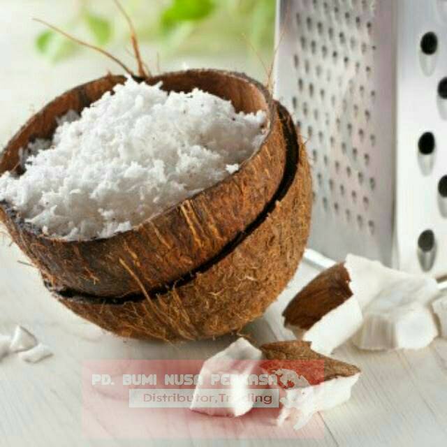 Jual Kelapa Parut Segar - 1 Butir Kelapa | Shopee Indonesia
