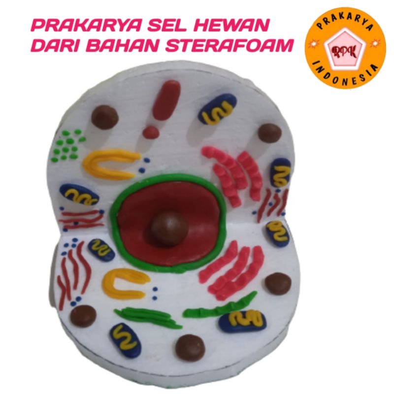Jual Prakarya Sel hewan dari sterafoam dan clay | Shopee Indonesia