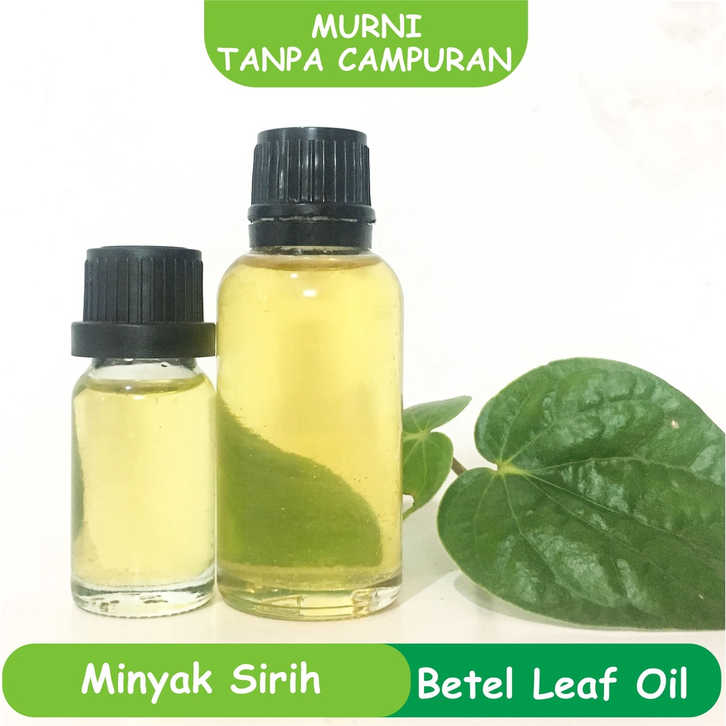 Jual minyak sirih murni asli tanpa campuran piper betel leaf pure essential oil aromatherapy ...