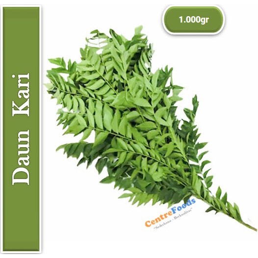 Jual Daun Kari - Daun Salam Koja Fresh | 1.000gr [ Harga Per KG ...