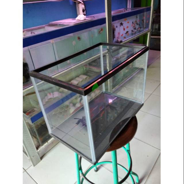Jual Akuarium akrilik | Shopee Indonesia