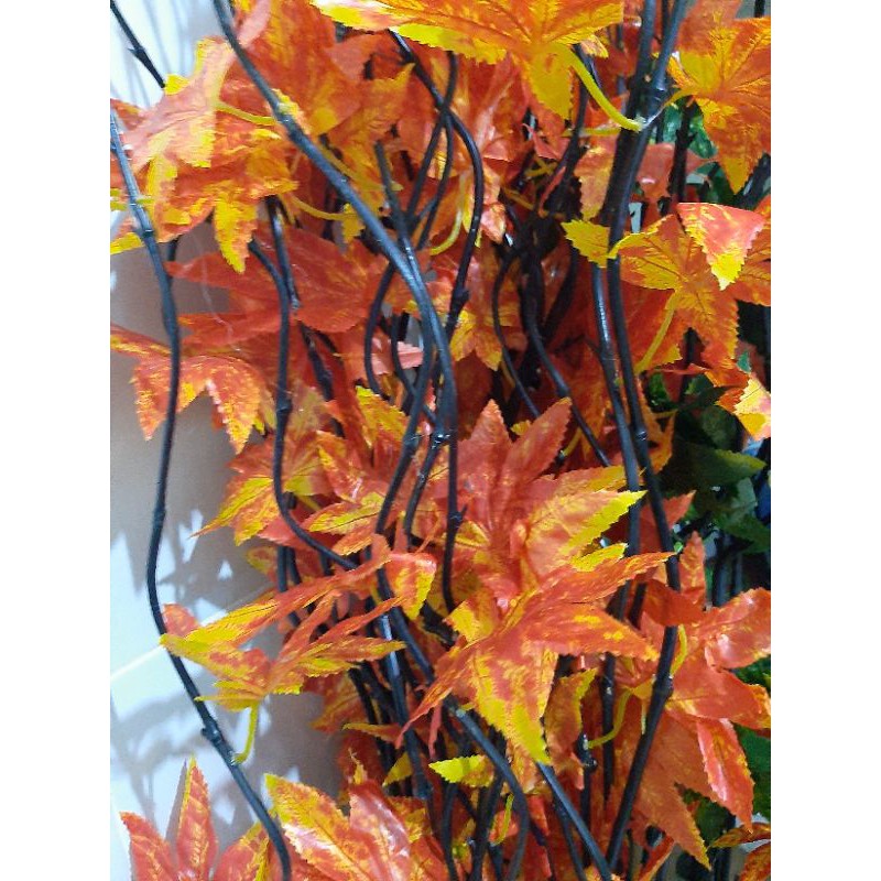 Jual Hiasan bambu ulir# bunga bambu ulir#bambu inul#pring gondani#bunga ...