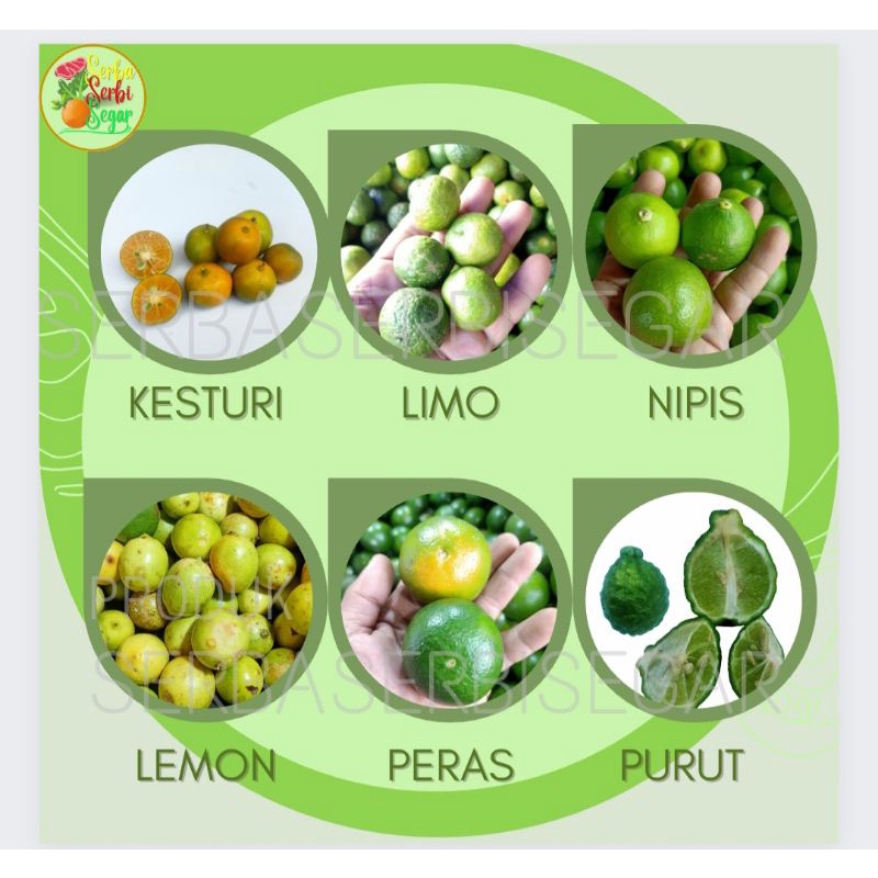 Jual JERUK KESTURI SONKIT LIMO NIPIS LEMON PERAS PURUT 250 GRAM ...