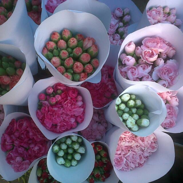 Jual Bunga Potong Segar Carnation Karnesen Anyelir Merah Putih Pink ...