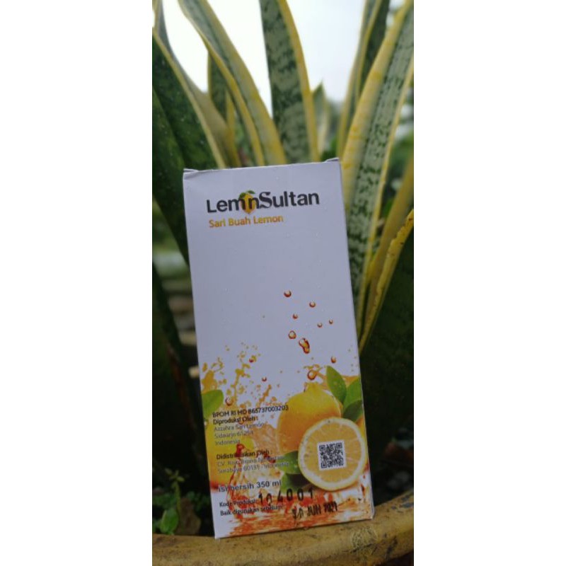 Jual lemon sultan | Shopee Indonesia