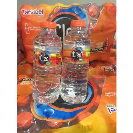 Jual Cleo 220 ml 24 pcs | cleo ukuran mini | Shopee Indonesia