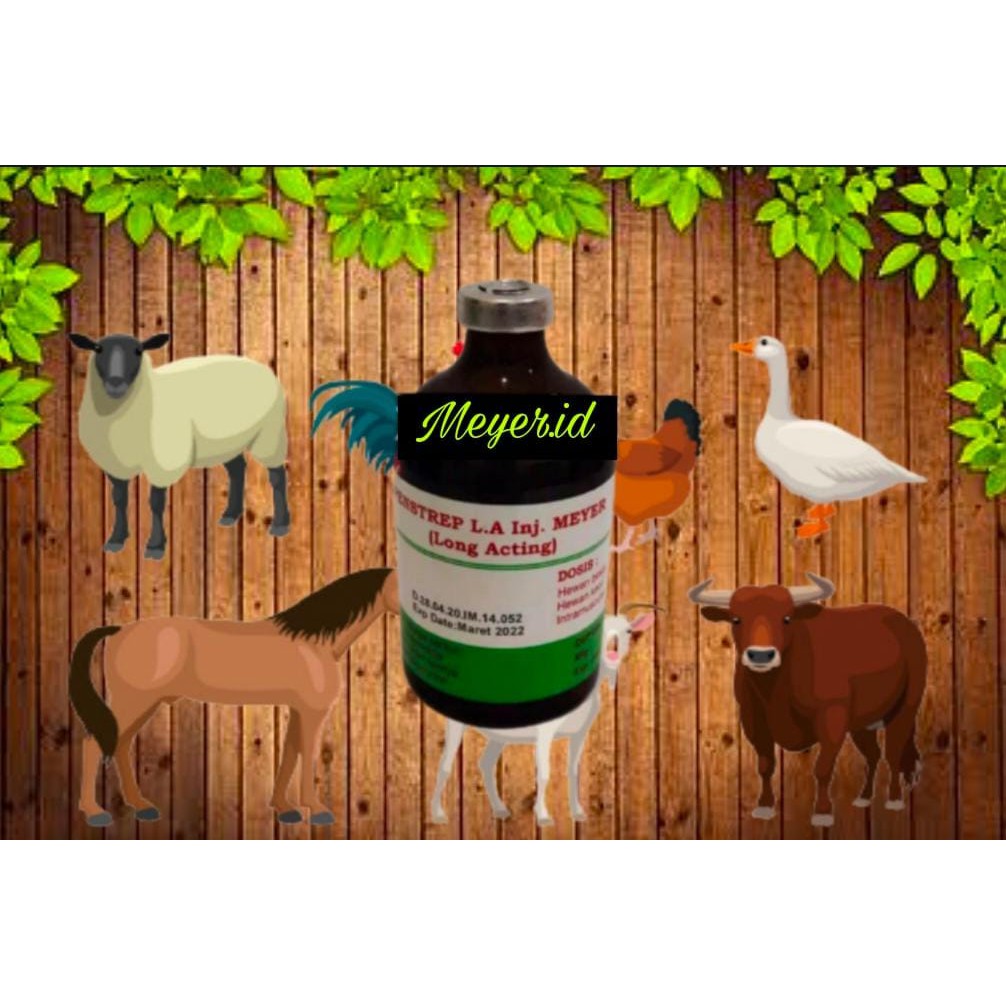 Jual Penstrep LA Inj Meyer 100ML - Antibiotik MASTITIS (infeksi ...