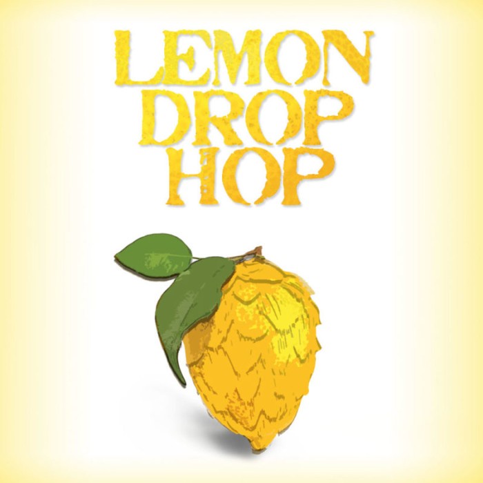 Jual Imatton Bittering Aroma hops LEMON DROP beer brew | Shopee Indonesia