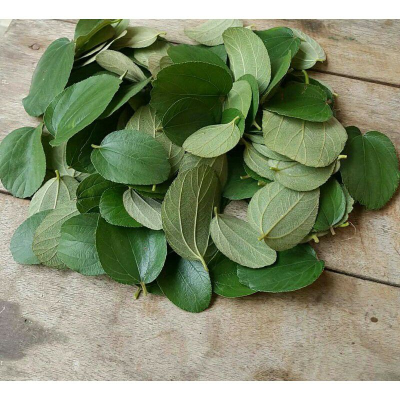 Jual 100 lembar daun bidara arab segar. | Shopee Indonesia