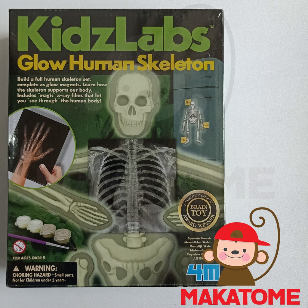 Jual 4M Kidzlabs Glow Human Skeleton mainan in the dark Kidz Labs Kids ...