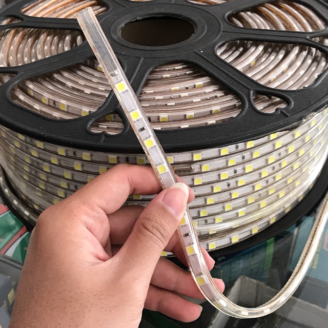 Jual Strip LED Gulungan LED karet tebal lentur indoor outdoor | Shopee ...