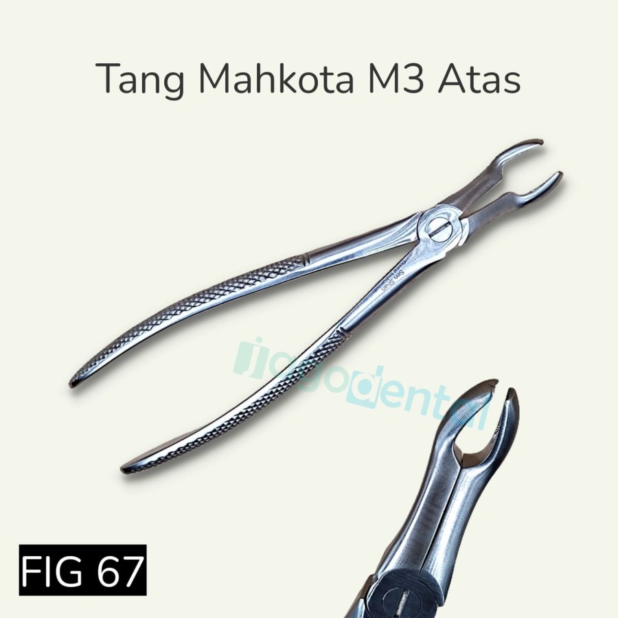 Jual DENTAL TANG CABUT GIGI DEWASA SATUAN TOOTH FORCEP / FORCEPS / TANG ...