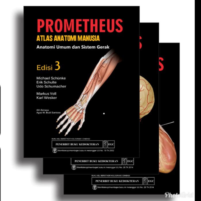 Jual PROMETHEUS ed.3 (set) | Shopee Indonesia