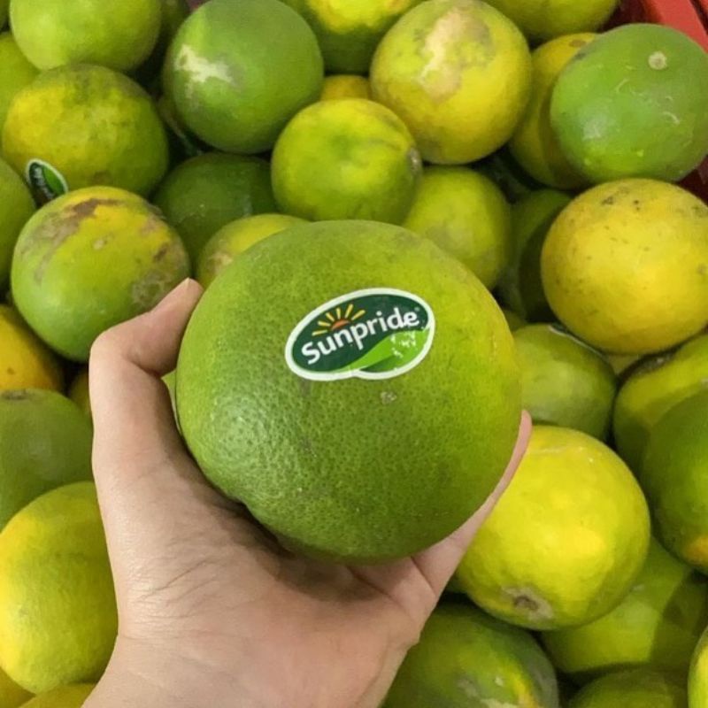 Jual Jeruk Baby Sunpride 1 Kg Besar | Shopee Indonesia