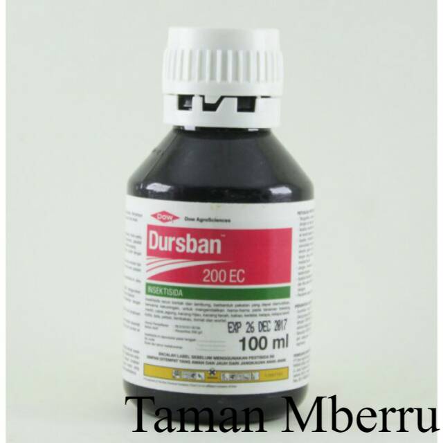 Jual Dursban 200EC 100ml / insektisida pembasmi ulat Tersedia obat ...