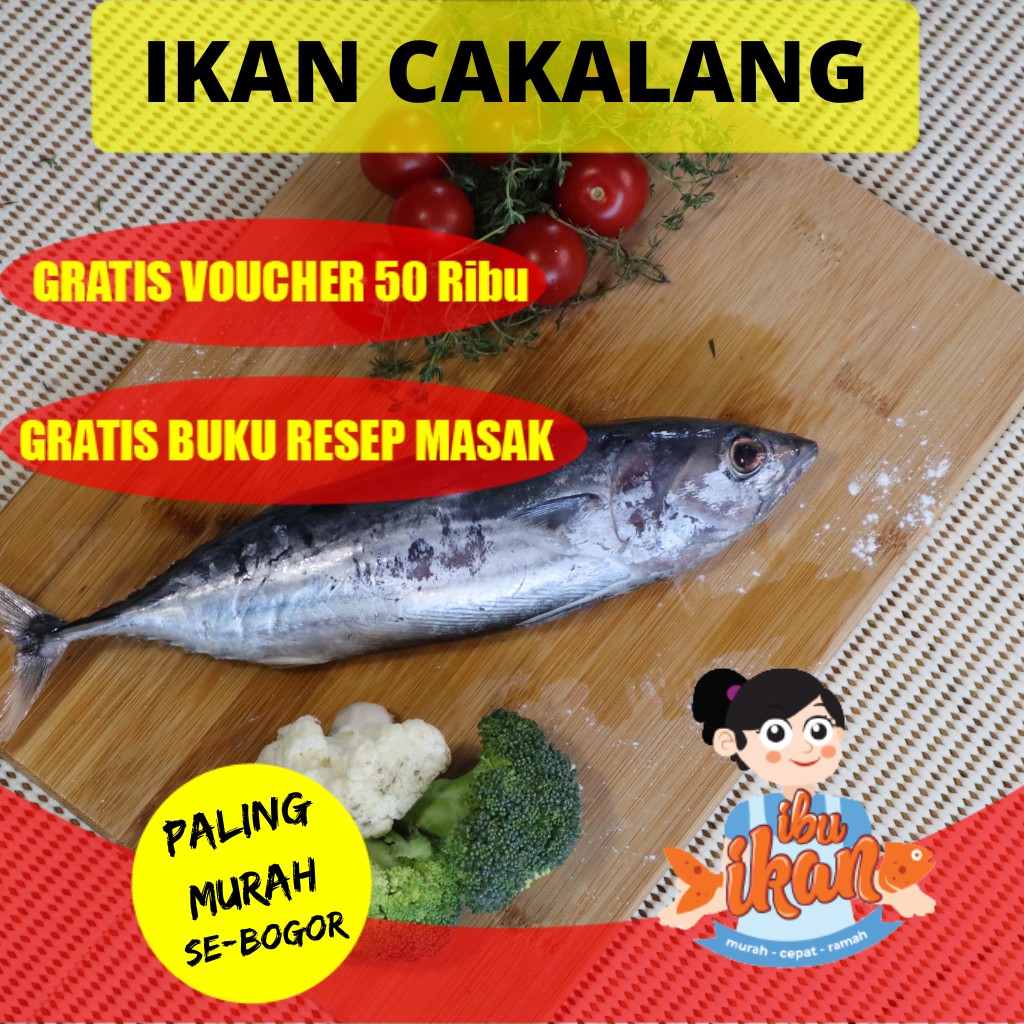 Jual IKAN CAKALANG FRESH SEGAR 1 KG FROZEN UNTUK SUWIR ASAP FUFU RABE ...