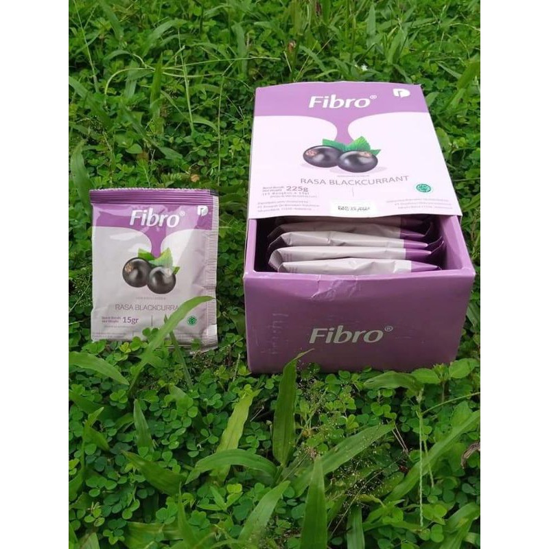 Jual ECER Fibro Minuman Serat Fiber Herbal Blackcurrant Detox | Shopee ...