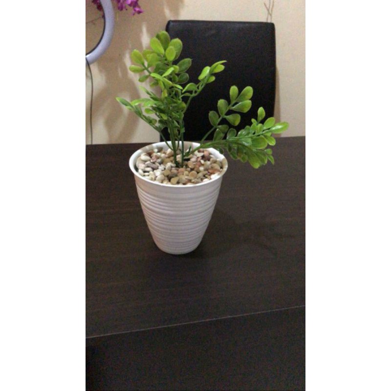 Jual Serbu alias serba sepuluh ribu | Shopee Indonesia Jual Serbu alias serba sepuluh ribu | Shopee Indonesia