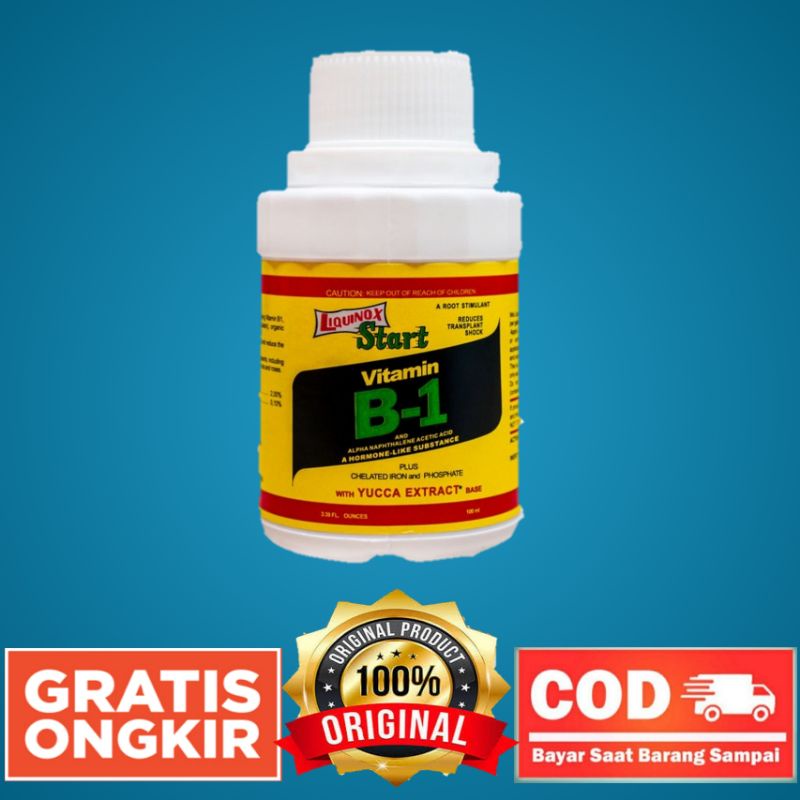 Jual Vitamin B1 tanaman liquinox 100ml | Shopee Indonesia