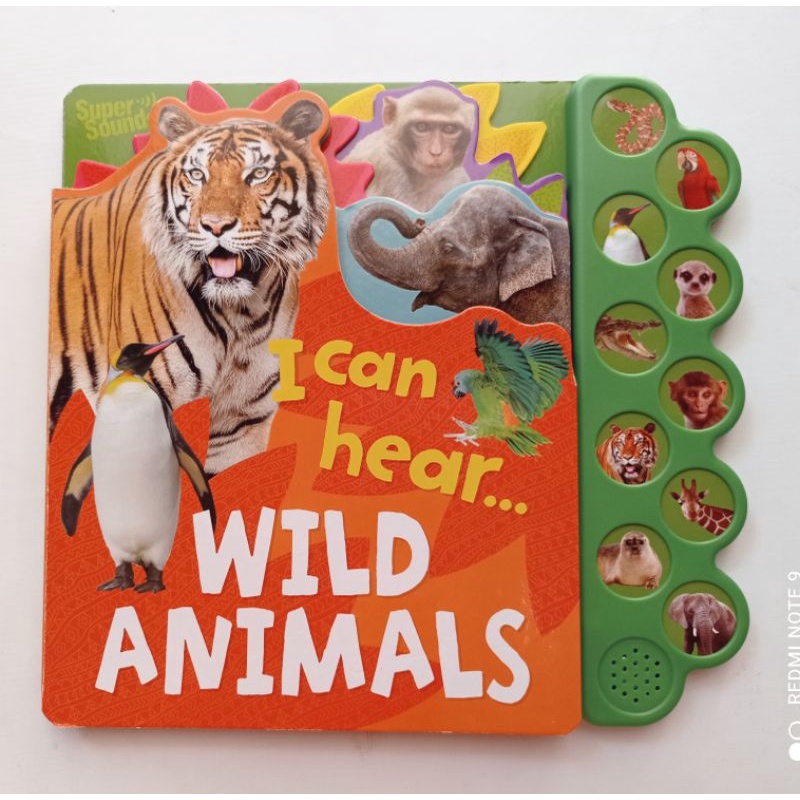 Jual Sound Board Book with 10 Animals / Wild Animals sounds ...