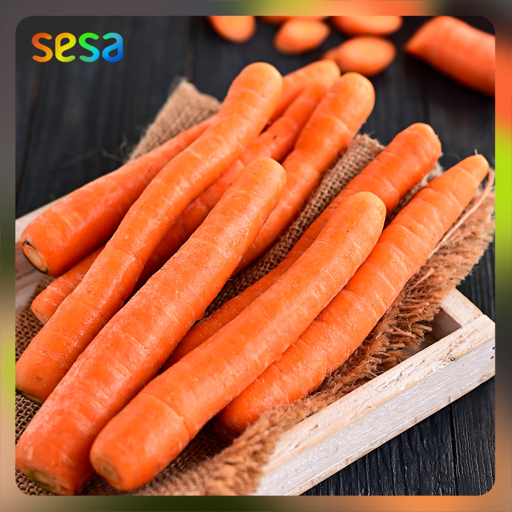 Jual WORTEL Organik Best Value 1kg - Sayuran Fresh Sehat Segar | Shopee ...