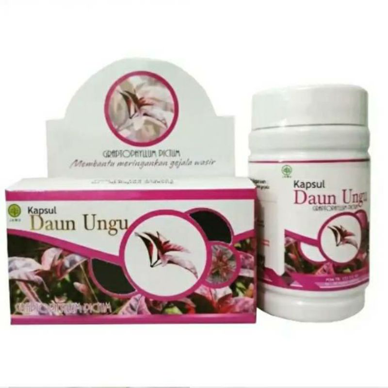 Jual obat herbal kapsul daun ungu isi 50 kapsul @ 500mg Kapsul Daun Ungu Original Untuk Wasir ...
