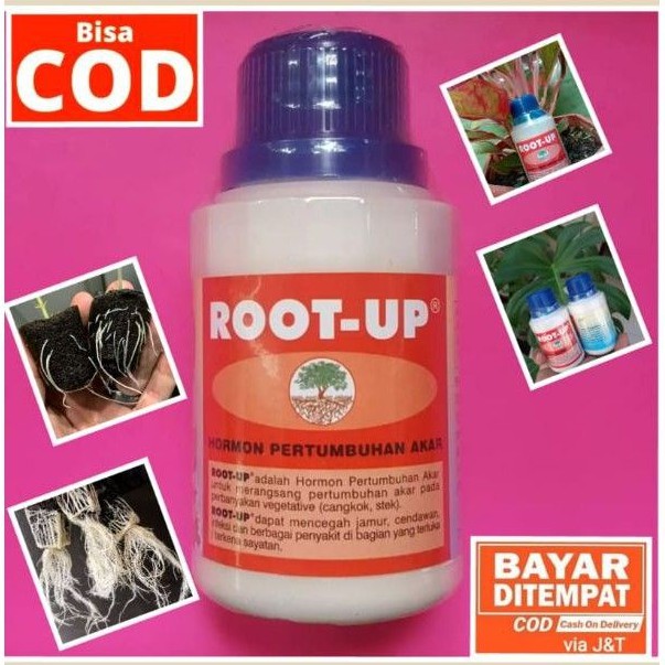 Jual ROOT UP, HORMON PENUMBUH AKAR, PERANGSANG AKAR | Shopee Indonesia