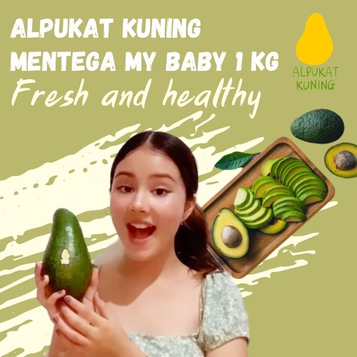 Jual ALPUKAT MENTEGA ALPUKAT KUNING SEHAT ALPUKAT MPASI ALPUKAT MY BABY ...