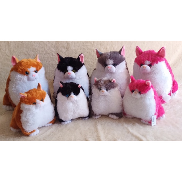 Jual Boneka Kucing Duduk, Sit Cat Bubble ukuran M dan L | Shopee Indonesia